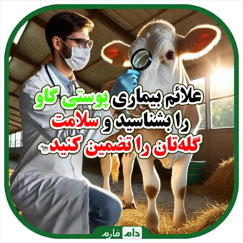 How-to-quickly-identify-and-treat-cattle-skin-diseases